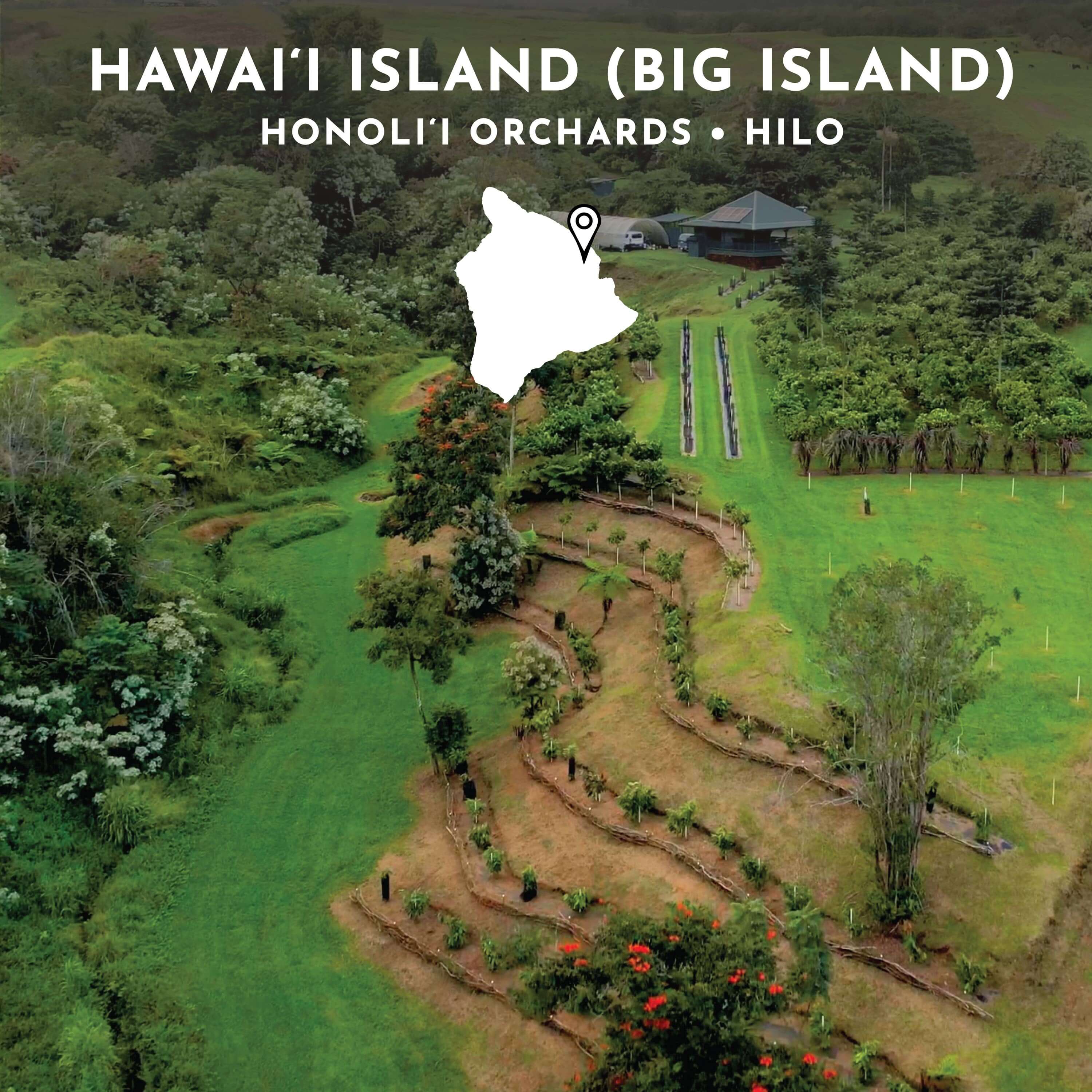 Farm Tours – Manoa Chocolate Hawaii